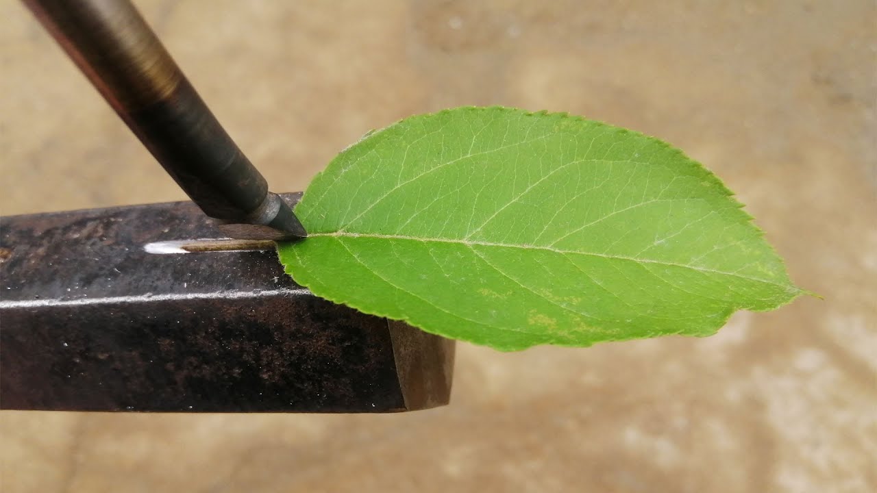 Cheerful person makes a great tool! Metal leaf DIY