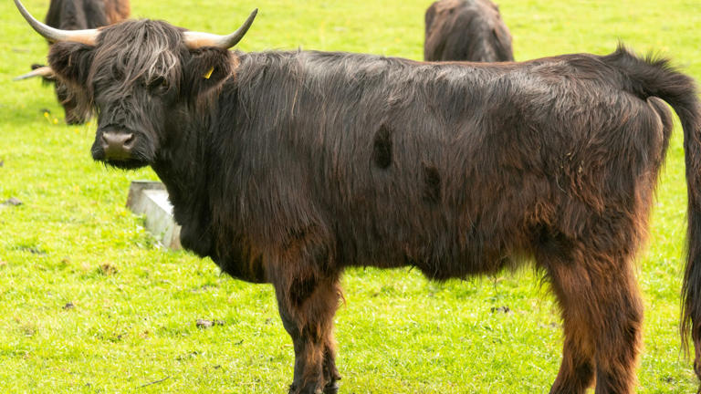 The Oldest Foods Historians Ever Discovered