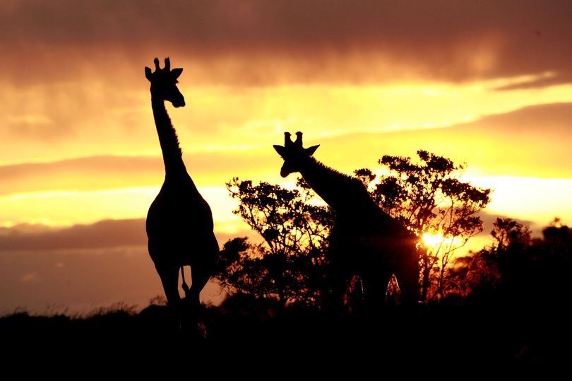 ‘I’m a travel expert and love 10 top tourist spots at night like ...