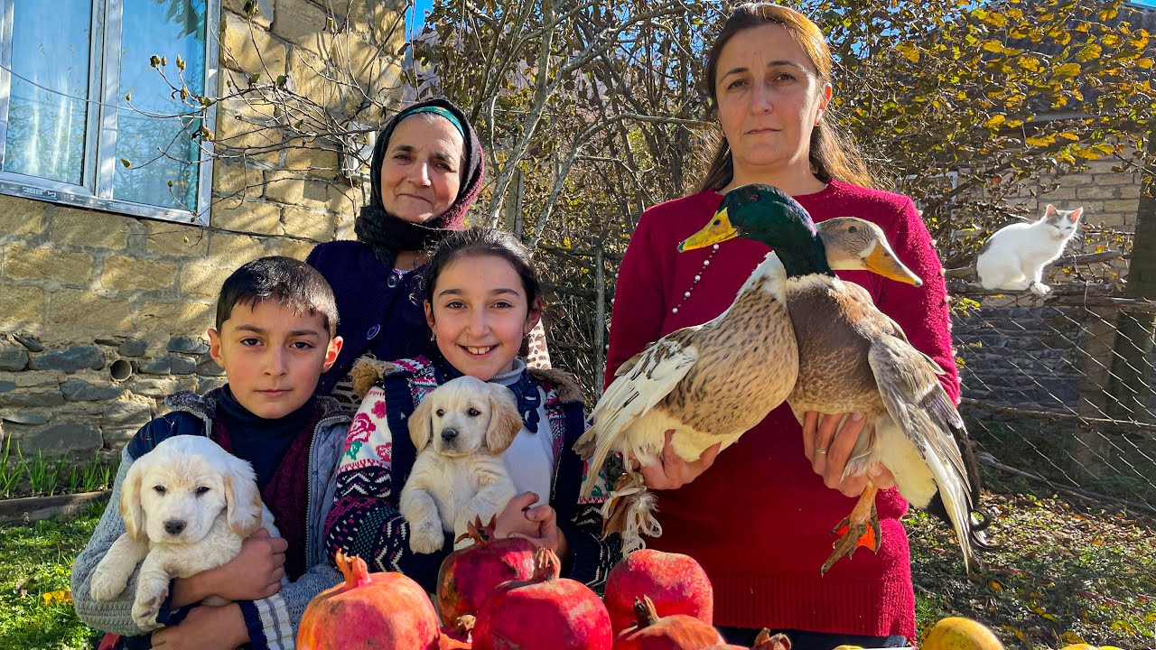 Shopping in village bazaar and cooking duck