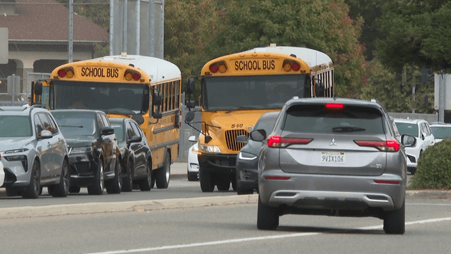 Clovis grandmother hailed a hero after saving granddaughter from car ...