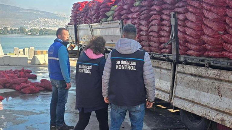 Yer: İzmir! Kaçak avlanan 27 ton kara midye ele geçirildi