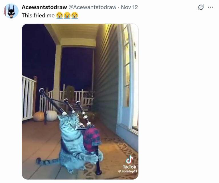 Slop or creative? This viral cat video with over 6 million views shows ...