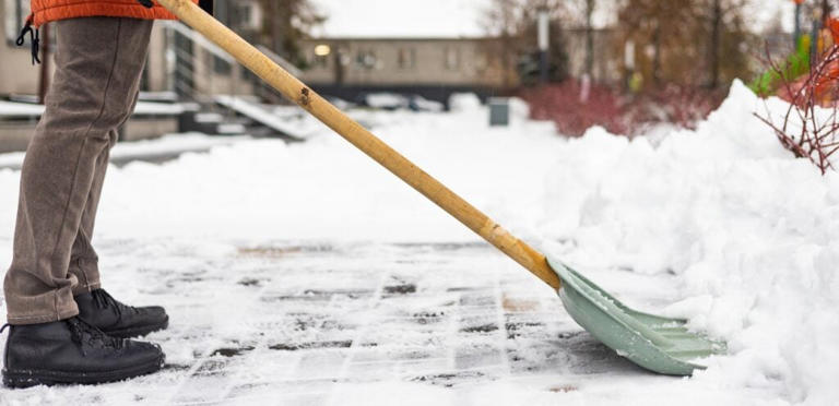 "Un froid polaire" s'abat sur la France dès lundi 17 novembre : va-t-il ...