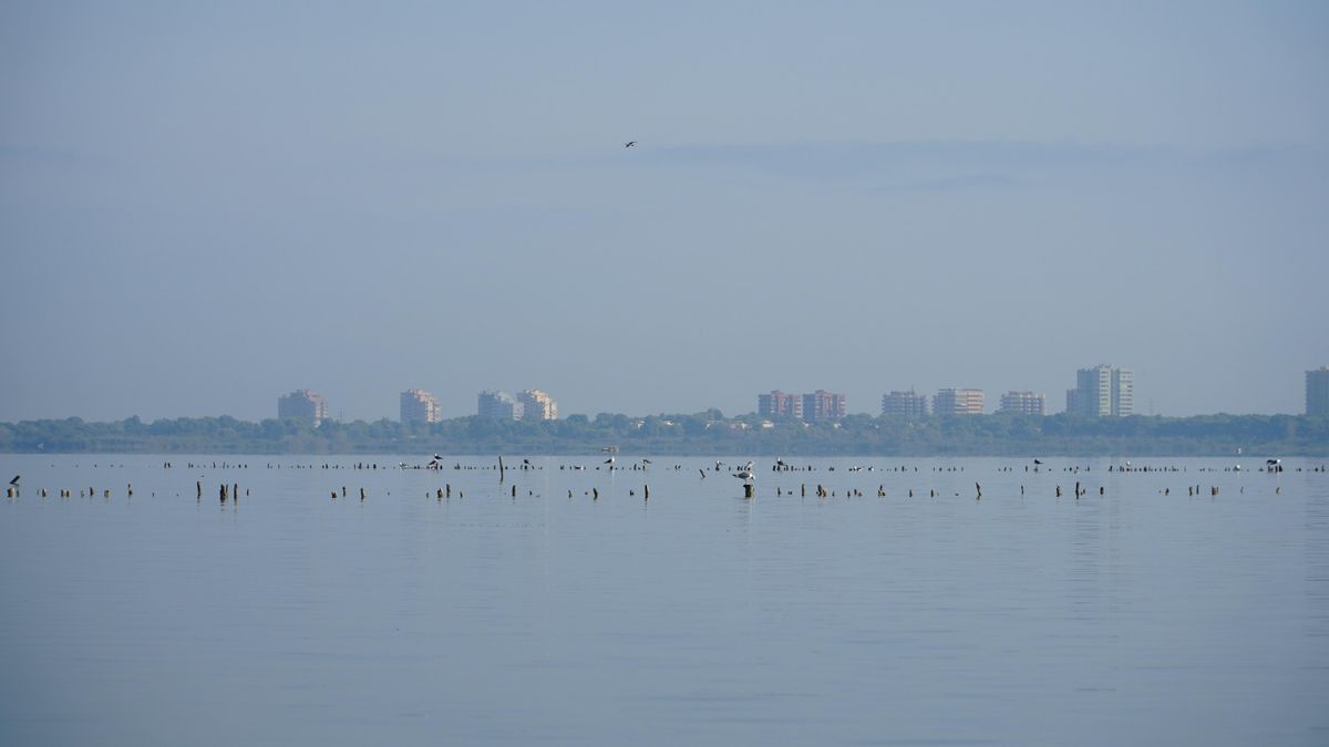 Aguas negras en l’Albufera: la CHJ activa un envío extraordinario de ...