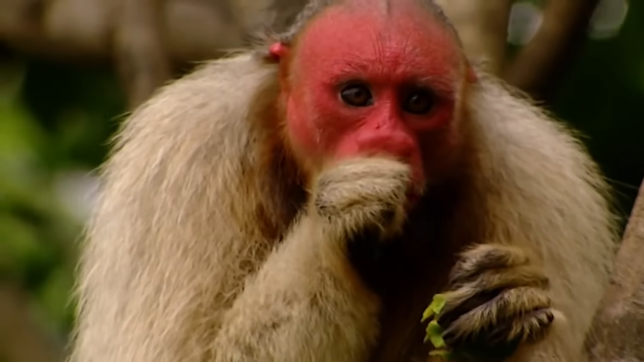 Spending 72 Hours Deep in the Amazon Rainforest