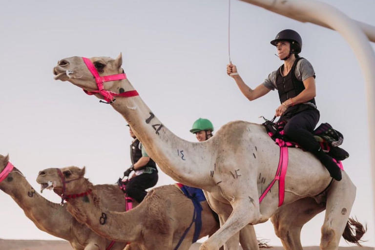 ‘I became a pro camel rider at 40. It should be an Olympic sport’