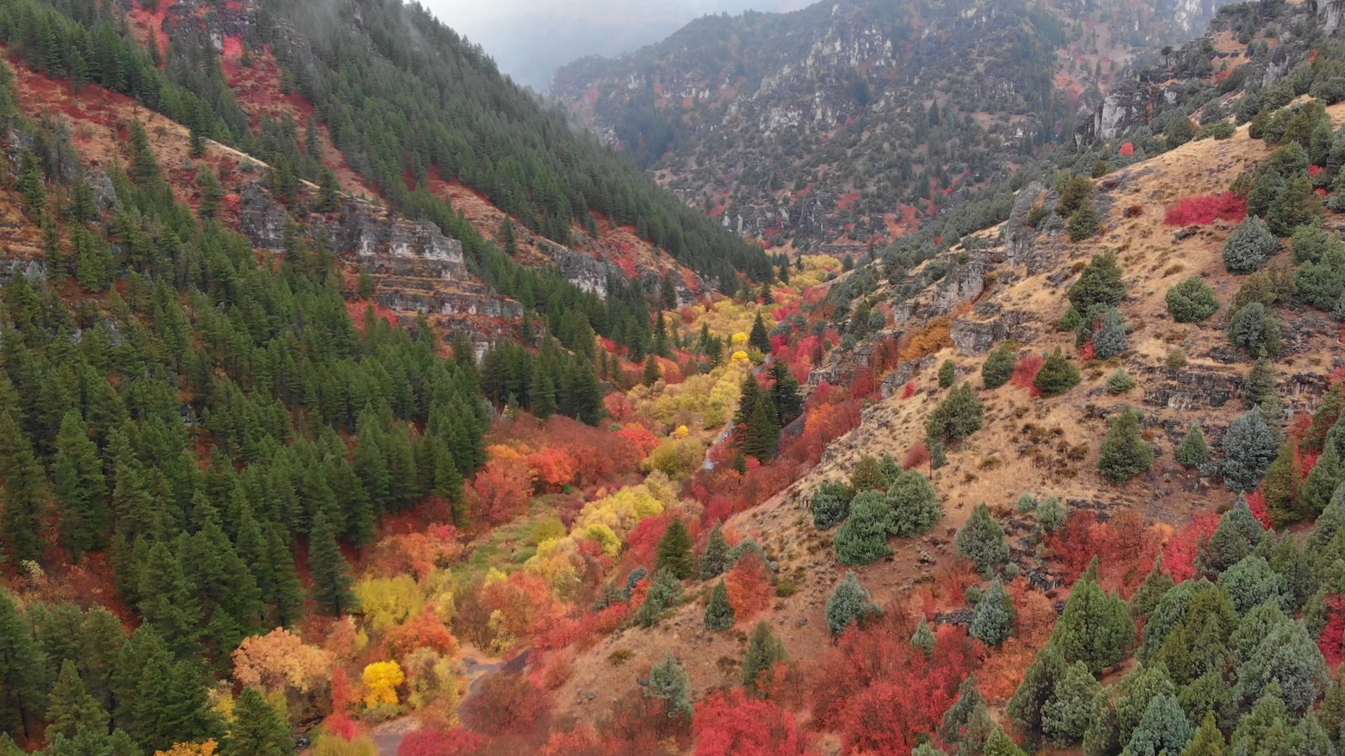 Autumn Colors Captured in the USA by Drone, Part 1