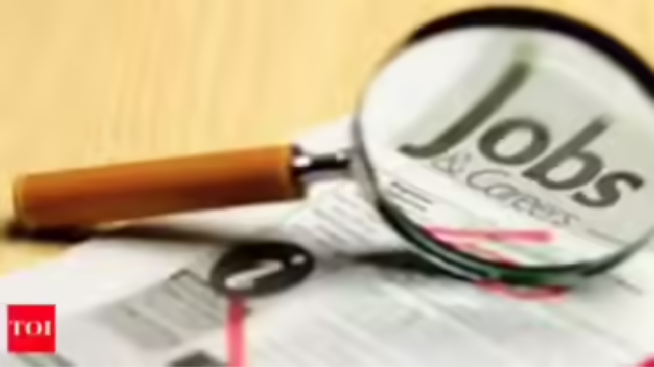 Hiring momentum: India Inc steps up recruitment in 2025; big firms ...