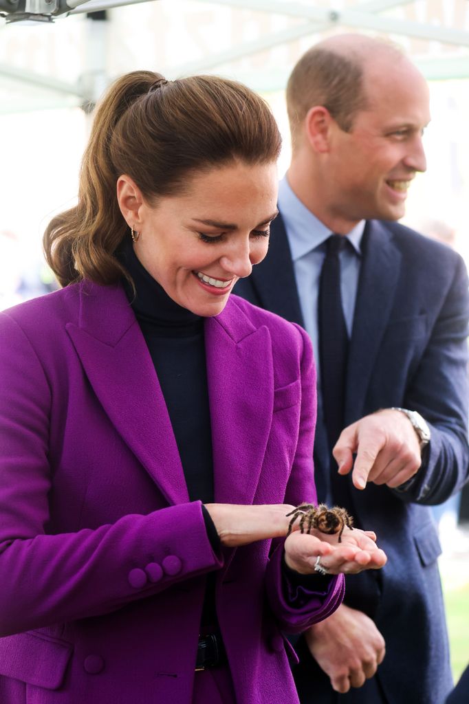 El tenso gesto de Sophie de Edimburgo con una tarántula, un desafío que ...