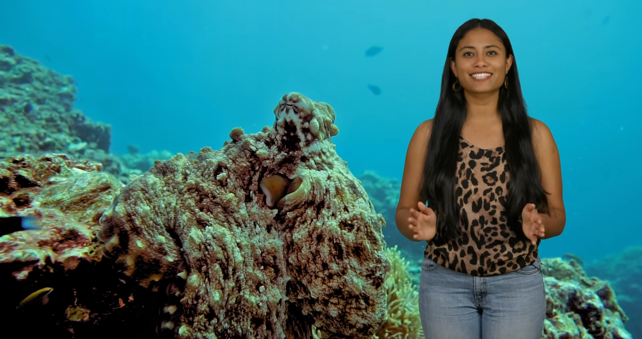 The ocean’s tiniest escape artist revealed