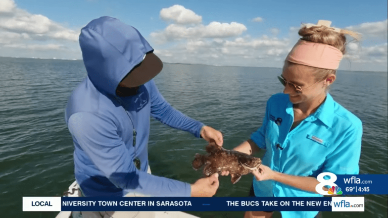 Reel Talk: Catching tripletail in Tampa Bay