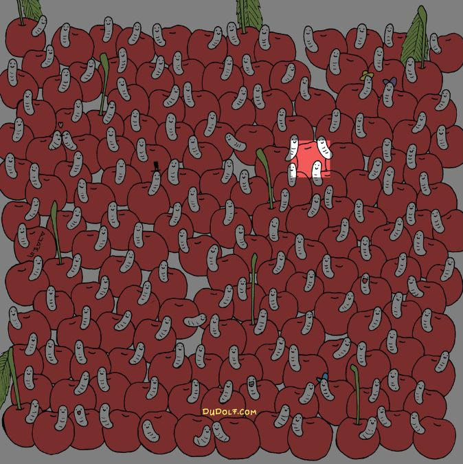 Only 1% With Eagle Eyes Can Spot Which Cherry Has No Worm In It In 30 ...