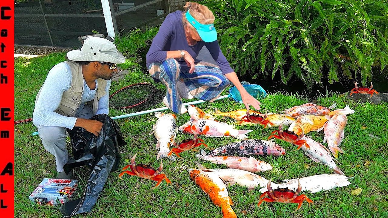 Starting Over My Mom’s Pond Using Crabs, Wild Fish & a SALTGATOR
