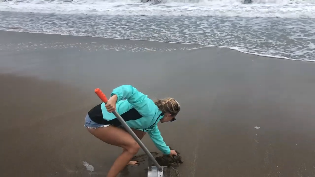 Sand Fleas Everywhere! Here’s How to Catch Them Fast