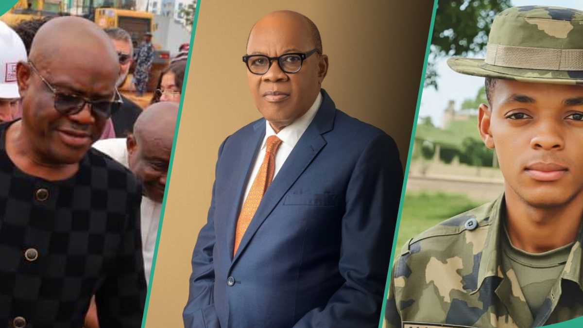 Top international arbitrator queried military claim in Wike land clash