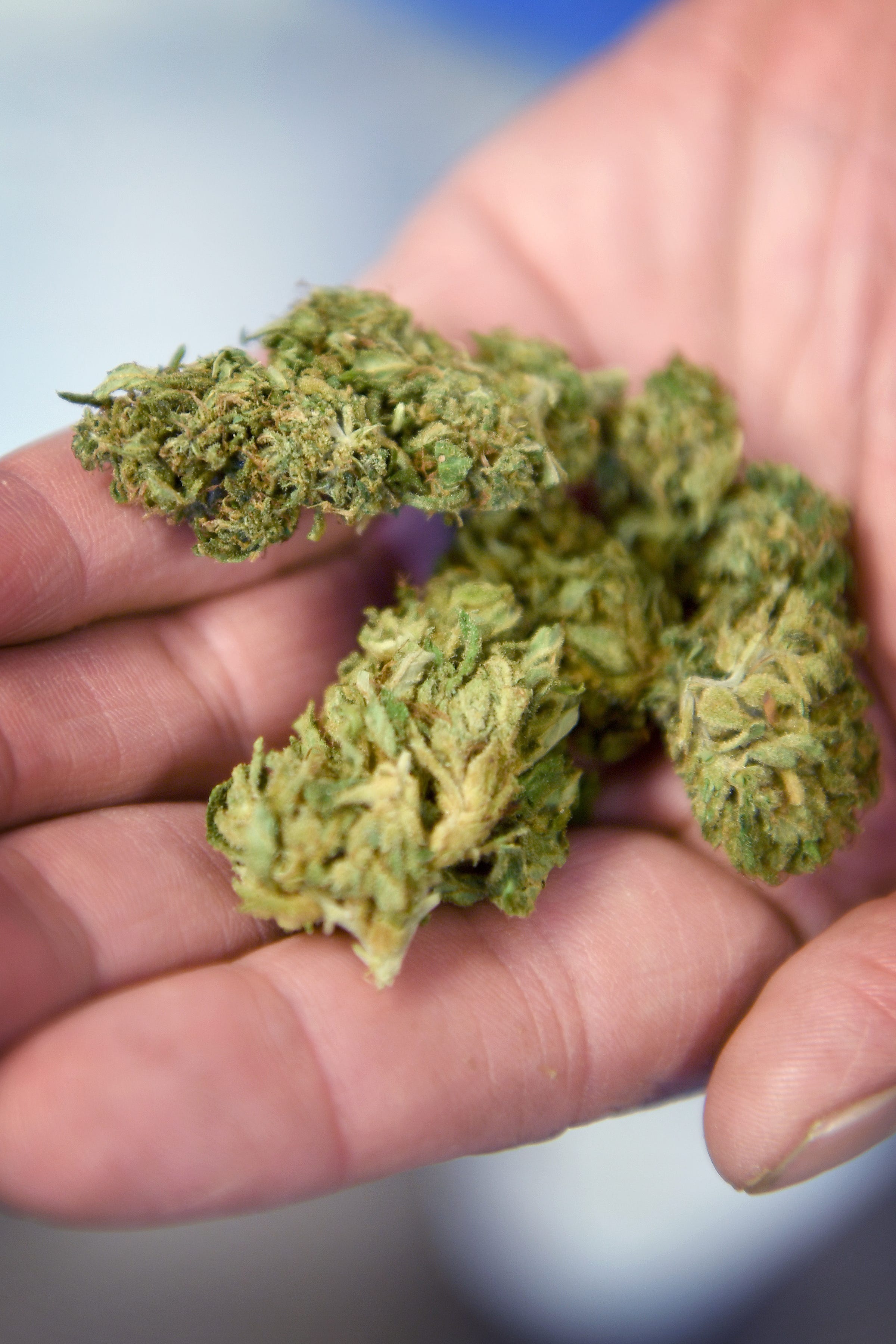 Government shutdown brings new hemp bans to the U.S. Will THCA, delta-8 ...