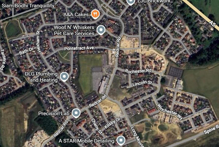 Protected bird of prey found dead in Northamptonshire town after being ...