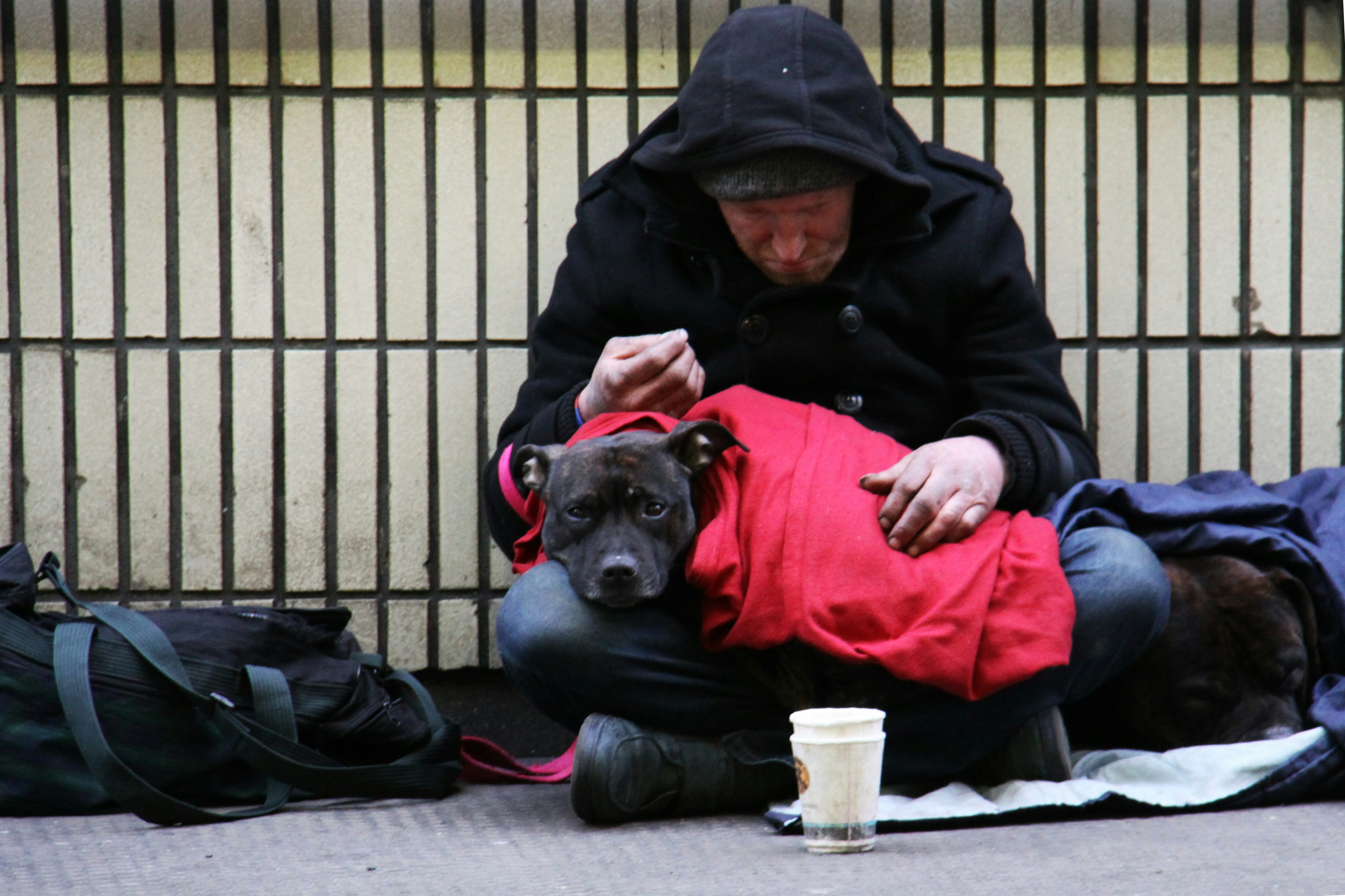 5 States with the Highest Homeless Rates