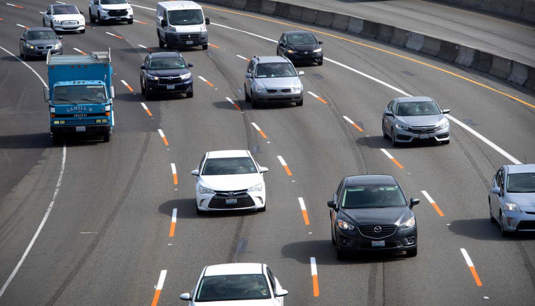 Want a new WA license plate? Drivers can choose from pickleball, bees ...