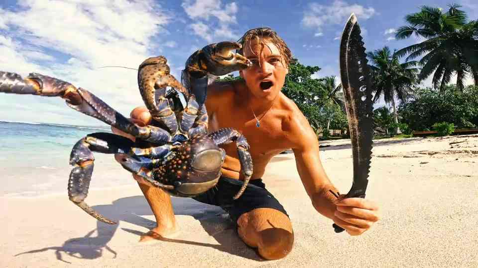 3 days of survival surrounded by untamed creatures