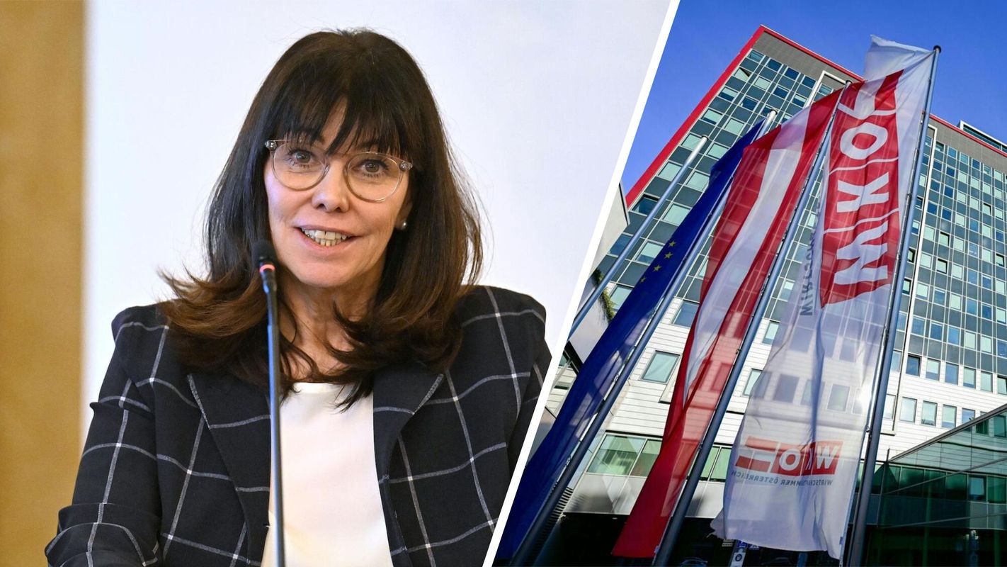 Neue WKÖ-Präsidentin Martha Schultz: „Wir haben verstanden, wie ernst ...