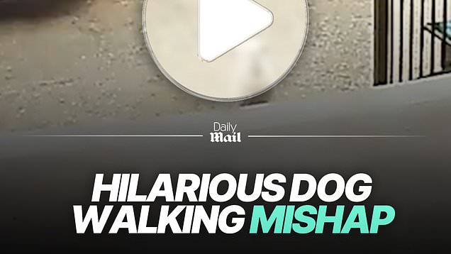 Hilarious dog walking mishap leaves owner panicking