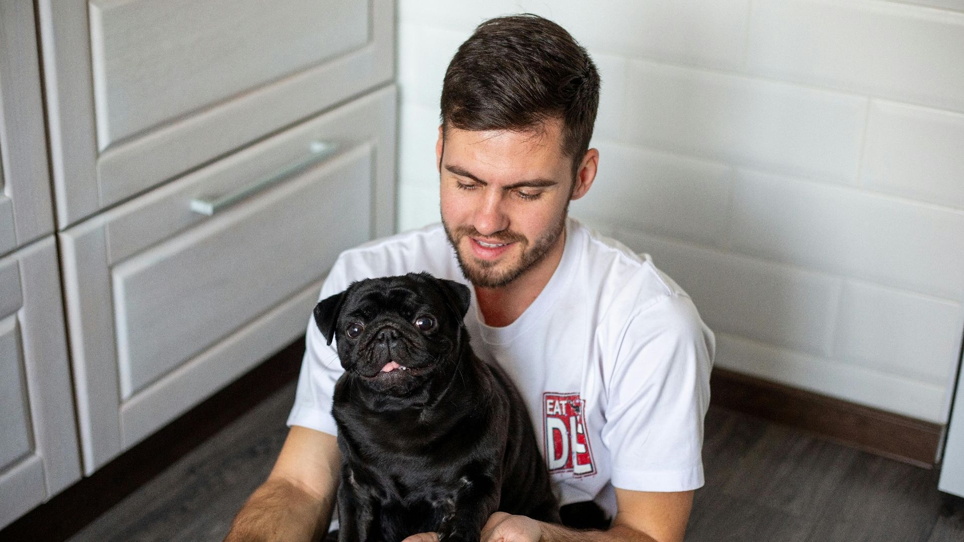 I want to bring my dog on vacation, but the airline’s pet rules are ...