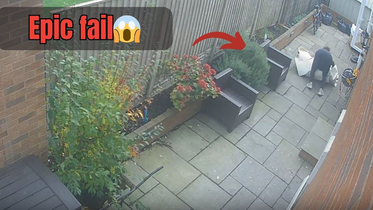 When you just want to get done with your chores but the floor wants a ...