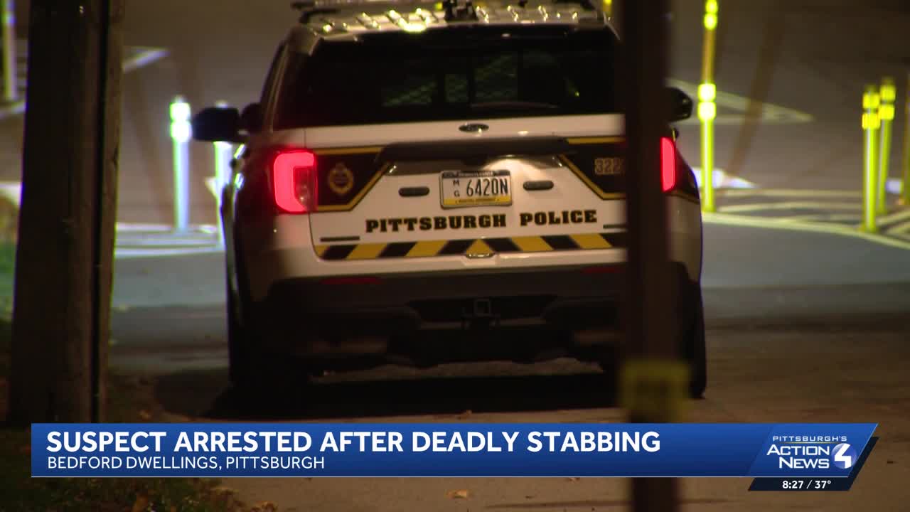 Man allegedly killed his roommate by stabbing him multiple times