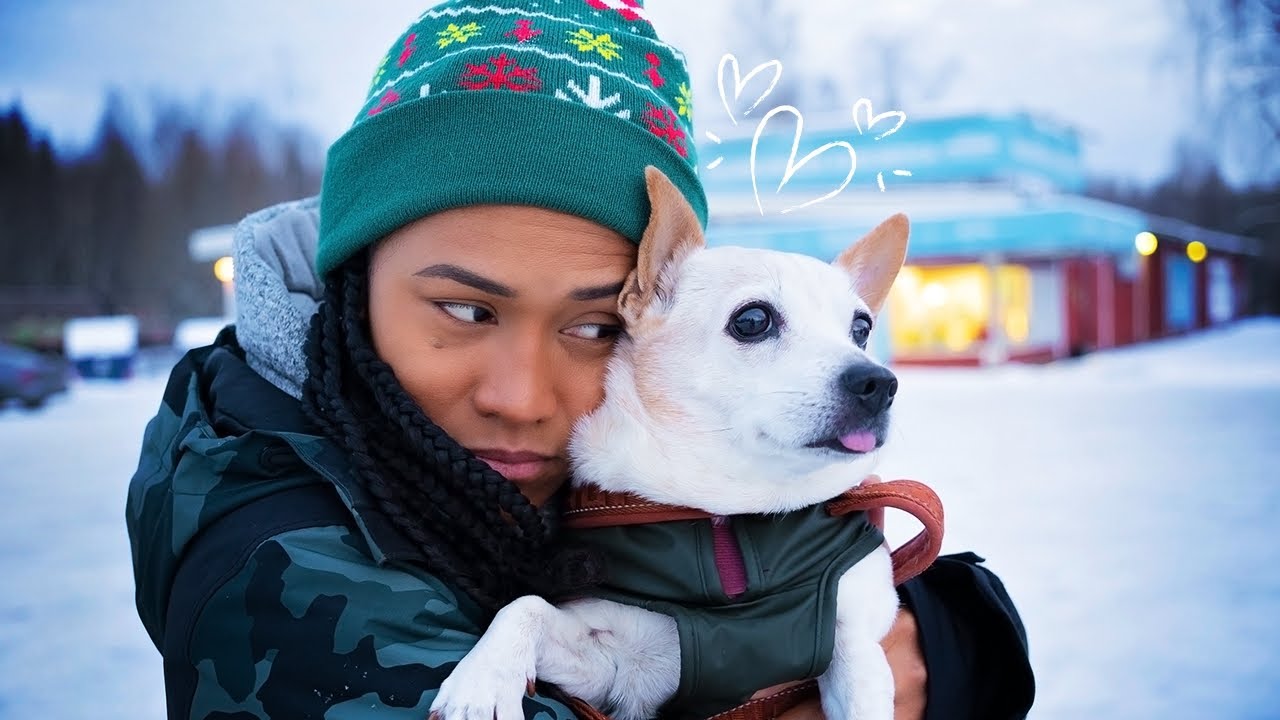 Facing fears about old dogs and sharing the sad truth with our family