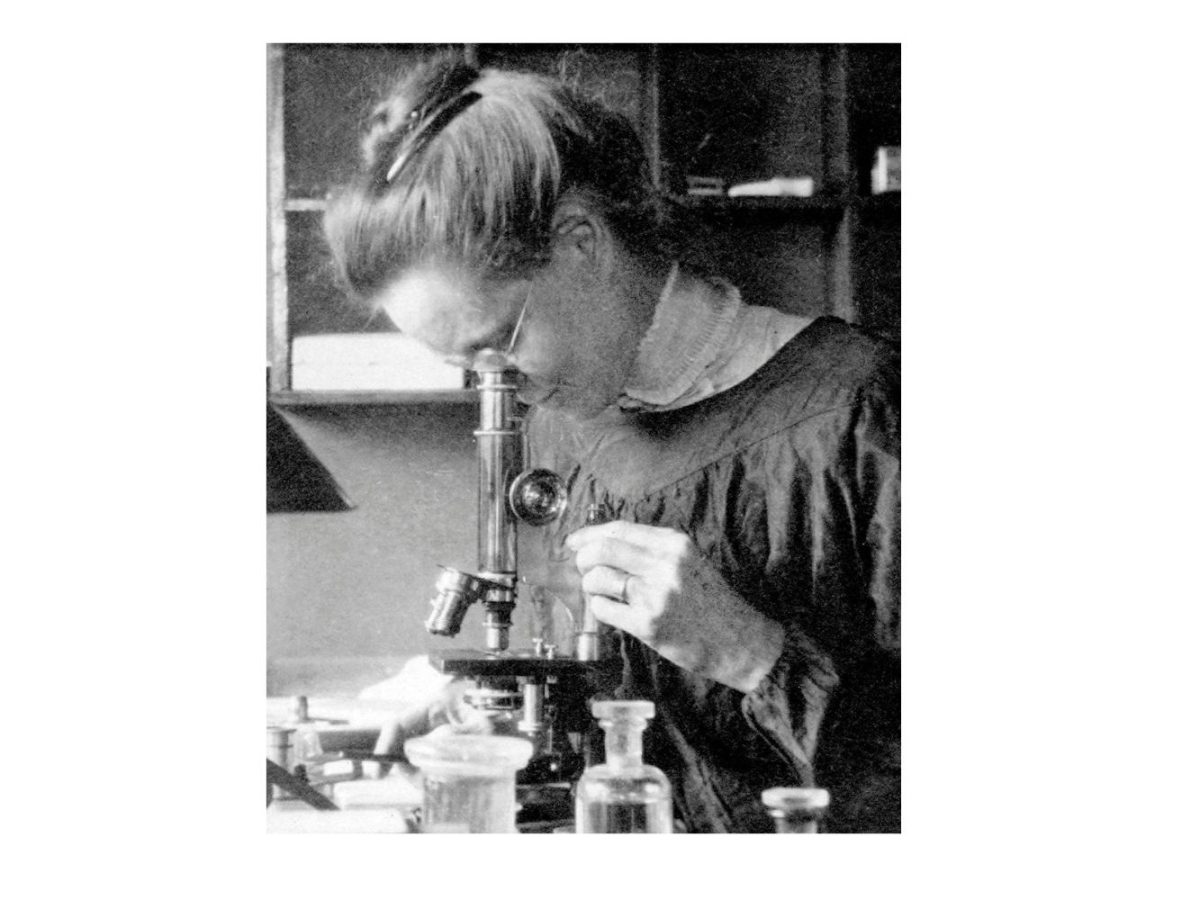 Qui est Nettie Stevens, la scientifique oubliée par l'histoire ...
