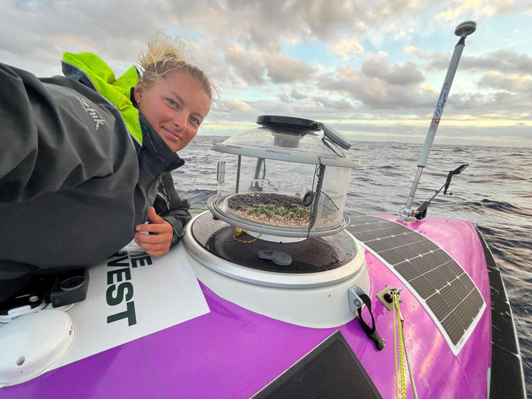 Pacific ocean rowers turn boat into floating farm with help from Home ...