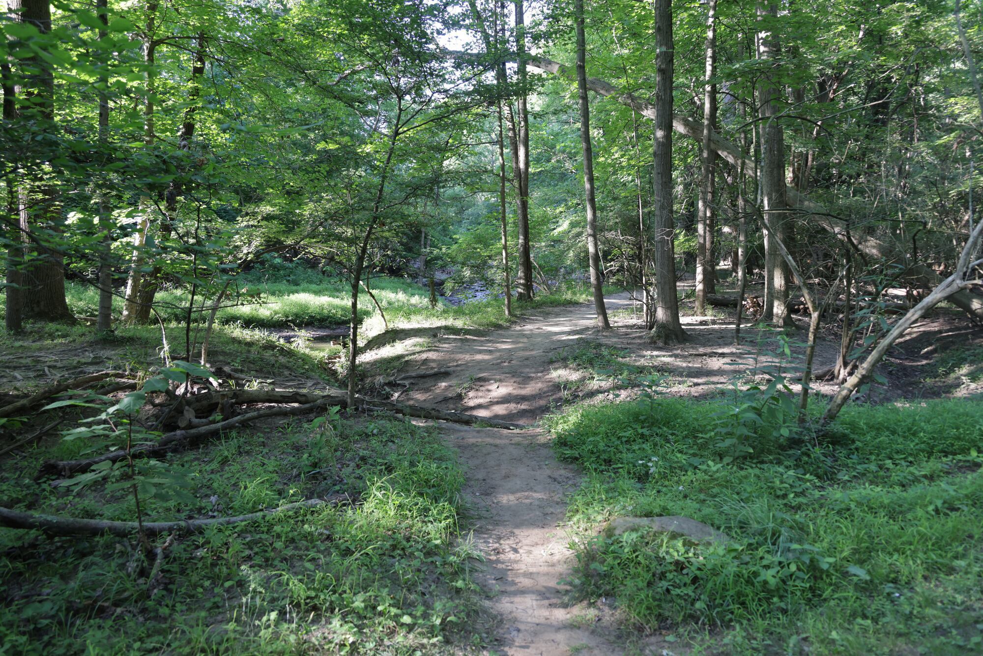 Get out and celebrate National Hiking Day this weekend - and bring your ...