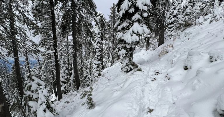 The Iconic Trail in Idaho Everyone Should Hike Once in Their Lifetime