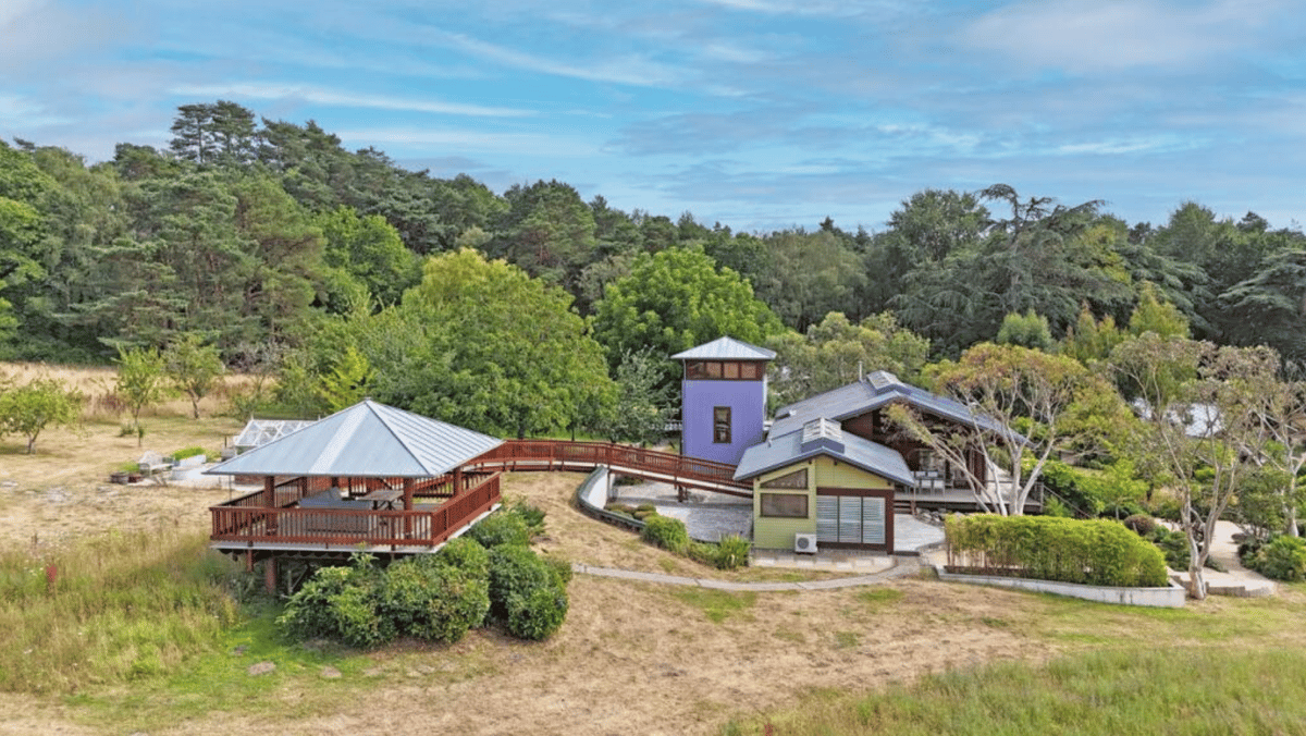 Grand Designs house for sale: New Forest haiku house asking £2.95m