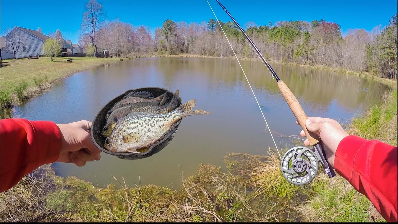 Fly Fishing Catch & Cook: Because Grocery Stores Are Too Easy