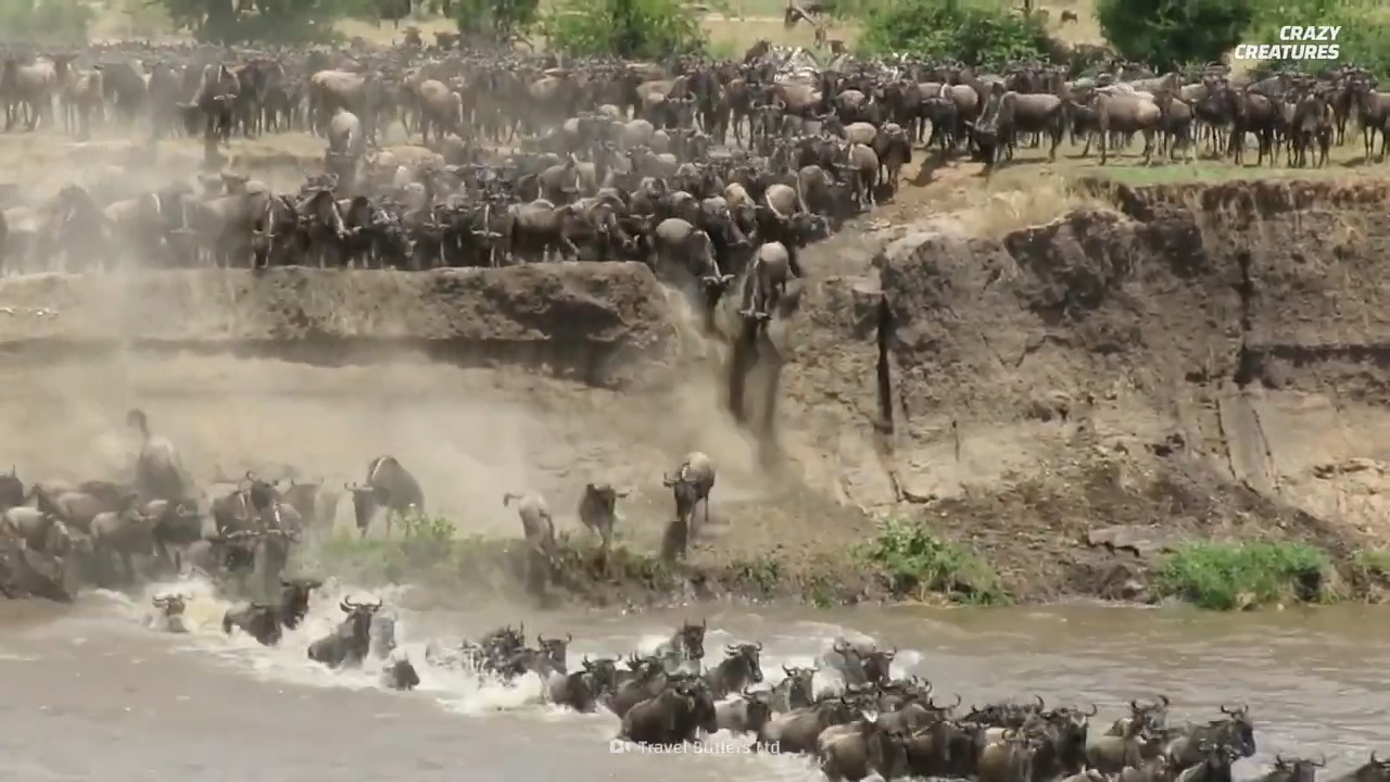 The river that swallows thousands in the great migration