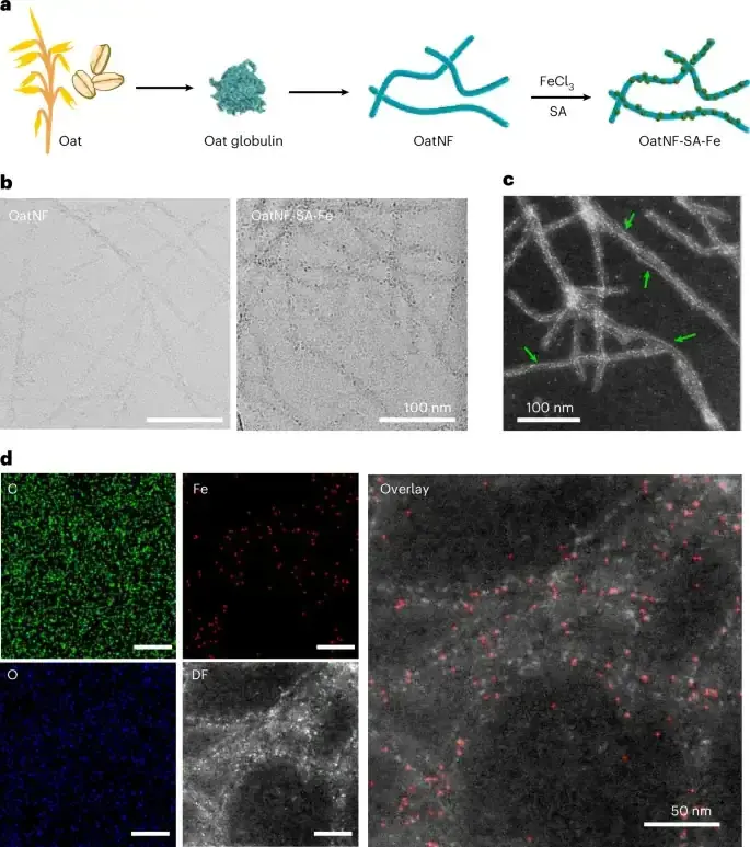 The Iron Deficiency Global Crisis May Have Met Its Match in a Simple ...