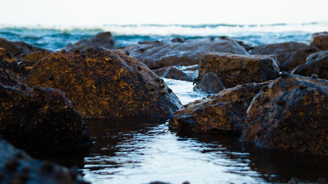 What If The Moon Suddenly Disappeared?