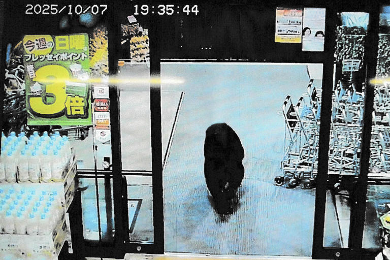 A grizzly warning to Americans: Beware bear attacks in Japan