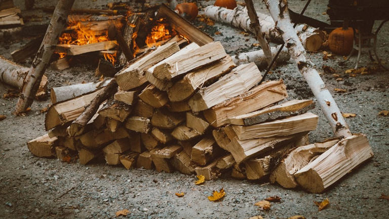 6 Things You Shouldn't Burn Outdoors - Even If They Look Harmless