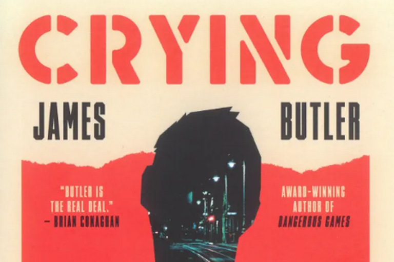 Dublin teenagers invited to take part in a citywide reading campaign