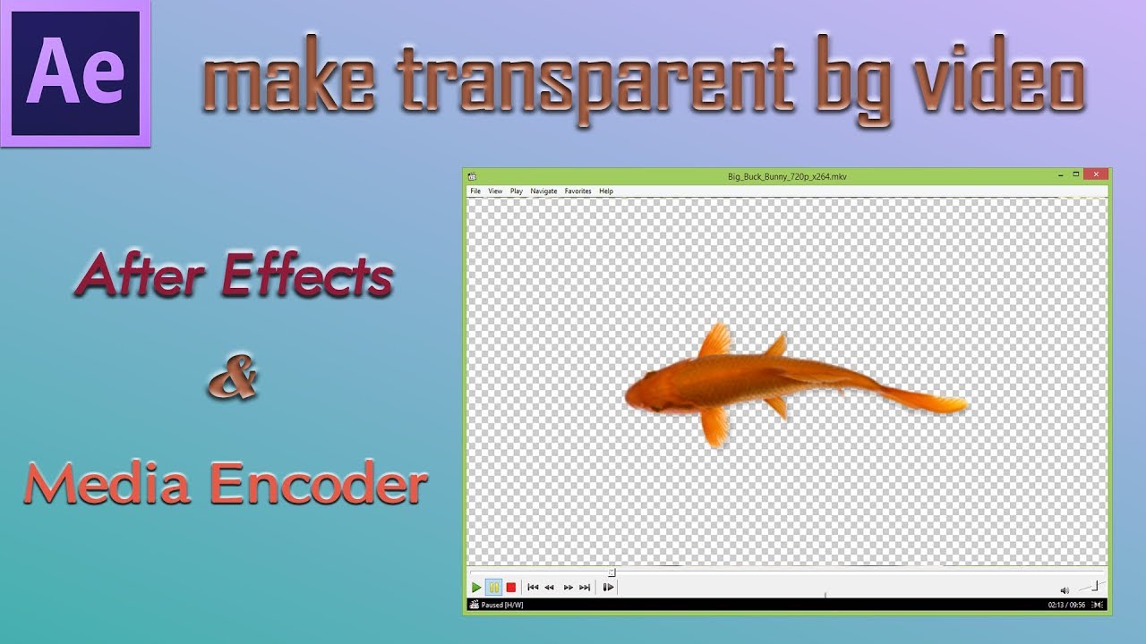 How to export transparent background videos in After Effects and Adobe ...