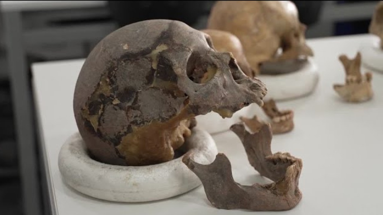 Ancient DNA in Argentina reveals a long-isolated lineage