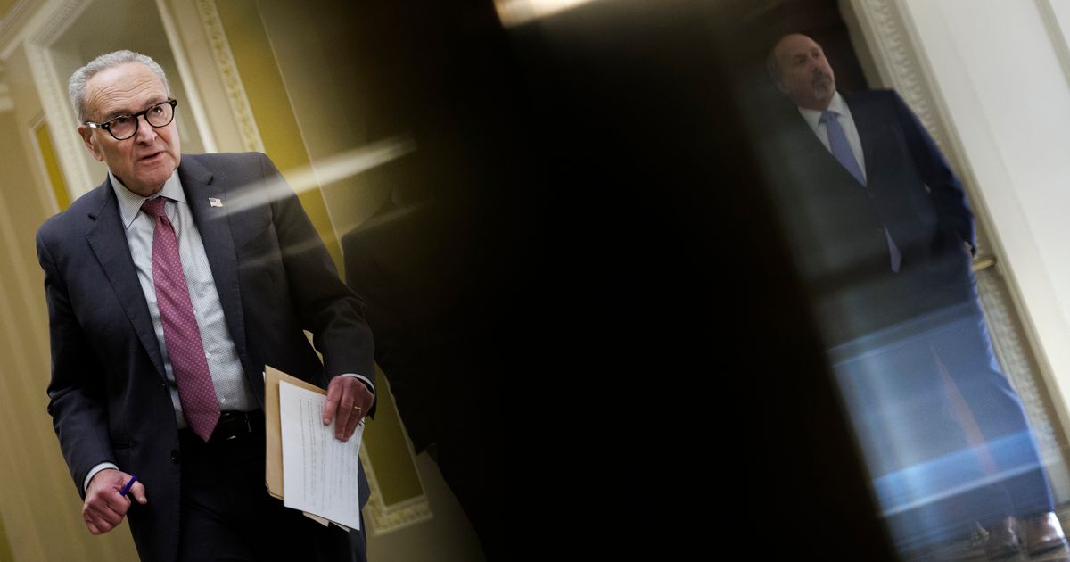 The Solution to Chuck Schumer