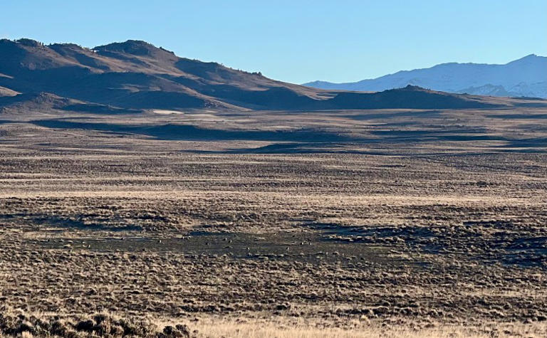 Drilling lease slated 2 miles from world’s largest sage grouse lek ...