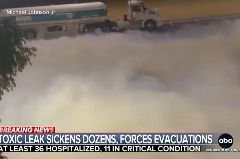 ABC David Muir fans in tears over 'scary as hell' update that made ...