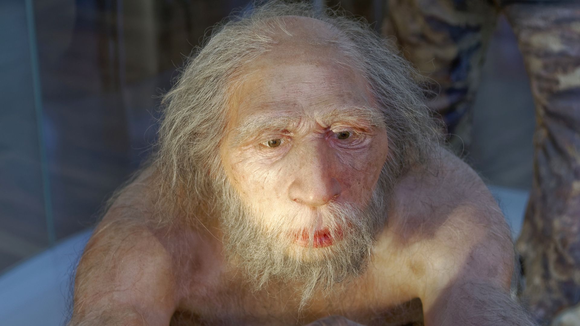 Scientists Still Have No Idea Why Humans Have Chins, Or Why No Other ...