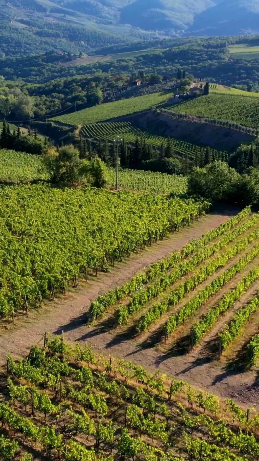 Tuscany's Beauty Unveiled: A Drone's Eye View of the Region.